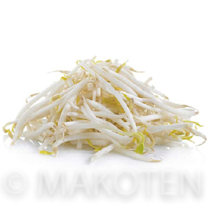 219921 – RAISA AEON Indonesia