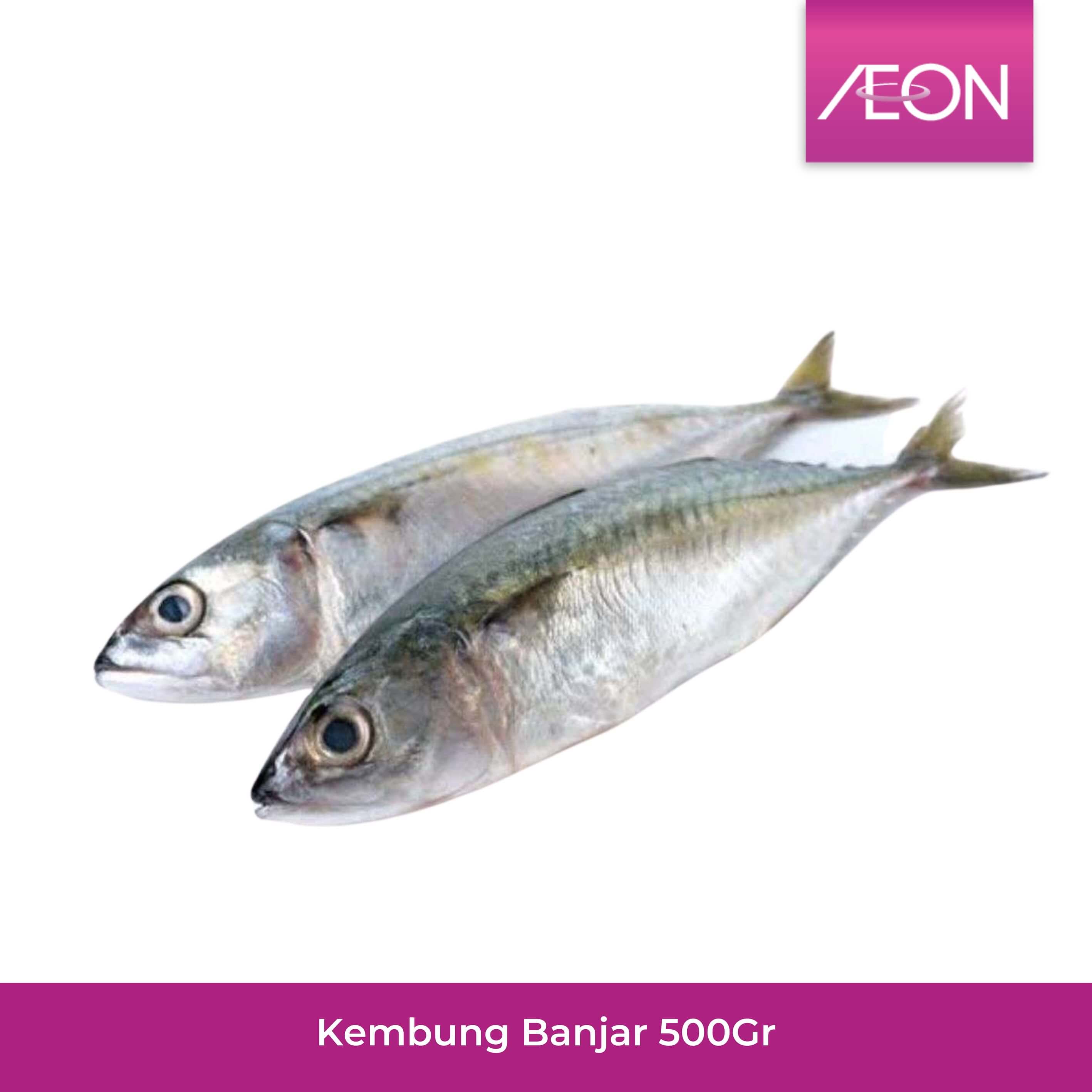 715188 – RAISA AEON Indonesia